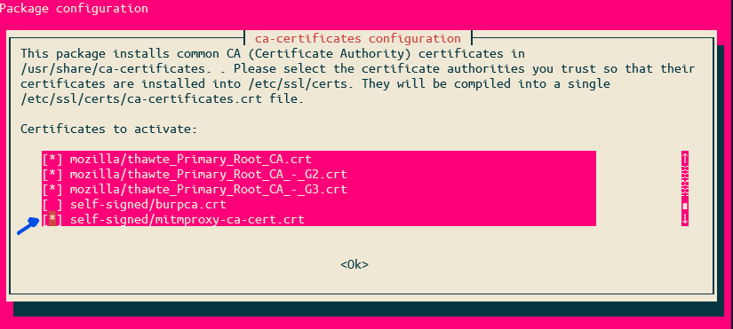 Debugging Web Requests Using Mitmproxy Wsl And Vscode